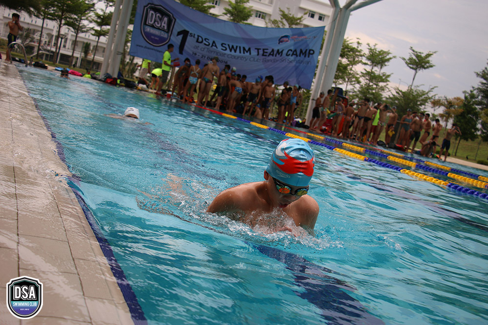 Gallery – 2016 | DSA Swim Team | D Swim Academy (DSA)