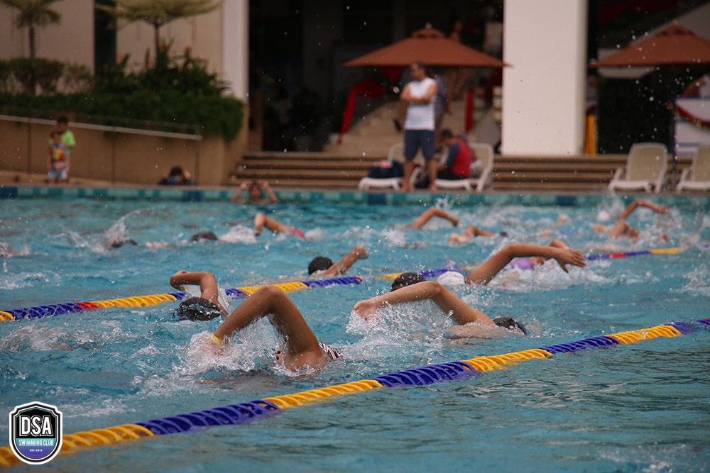 Gallery – 2016 | DSA Swim Team | D Swim Academy (DSA)